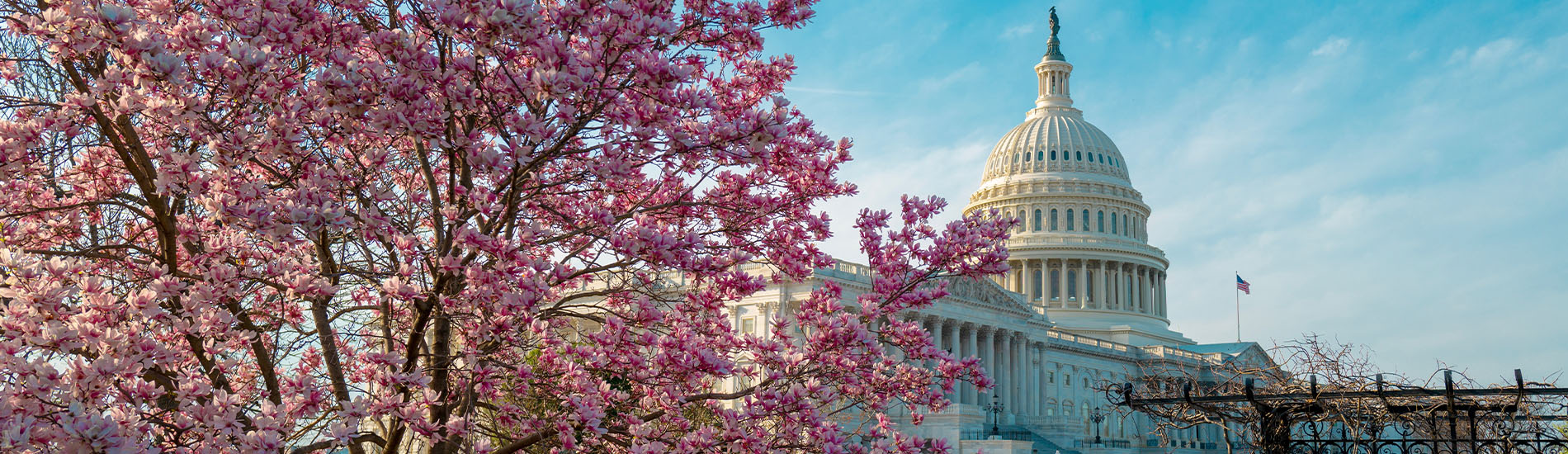 Federal Issues Program - ARTBA